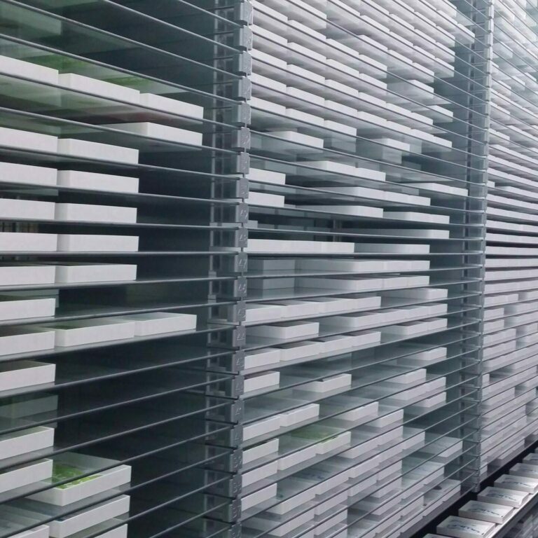 OPTICAL - RAX SOLUTIONS
